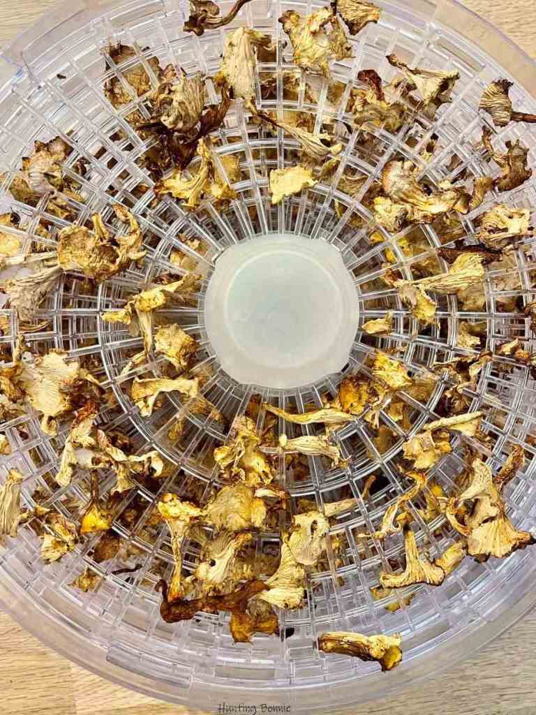 Déshydrater ses aliments : méthodes et conseils – Hunting Bonnie