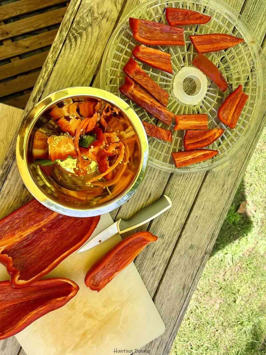 Déshydrater ses aliments : méthodes et conseils – Hunting Bonnie